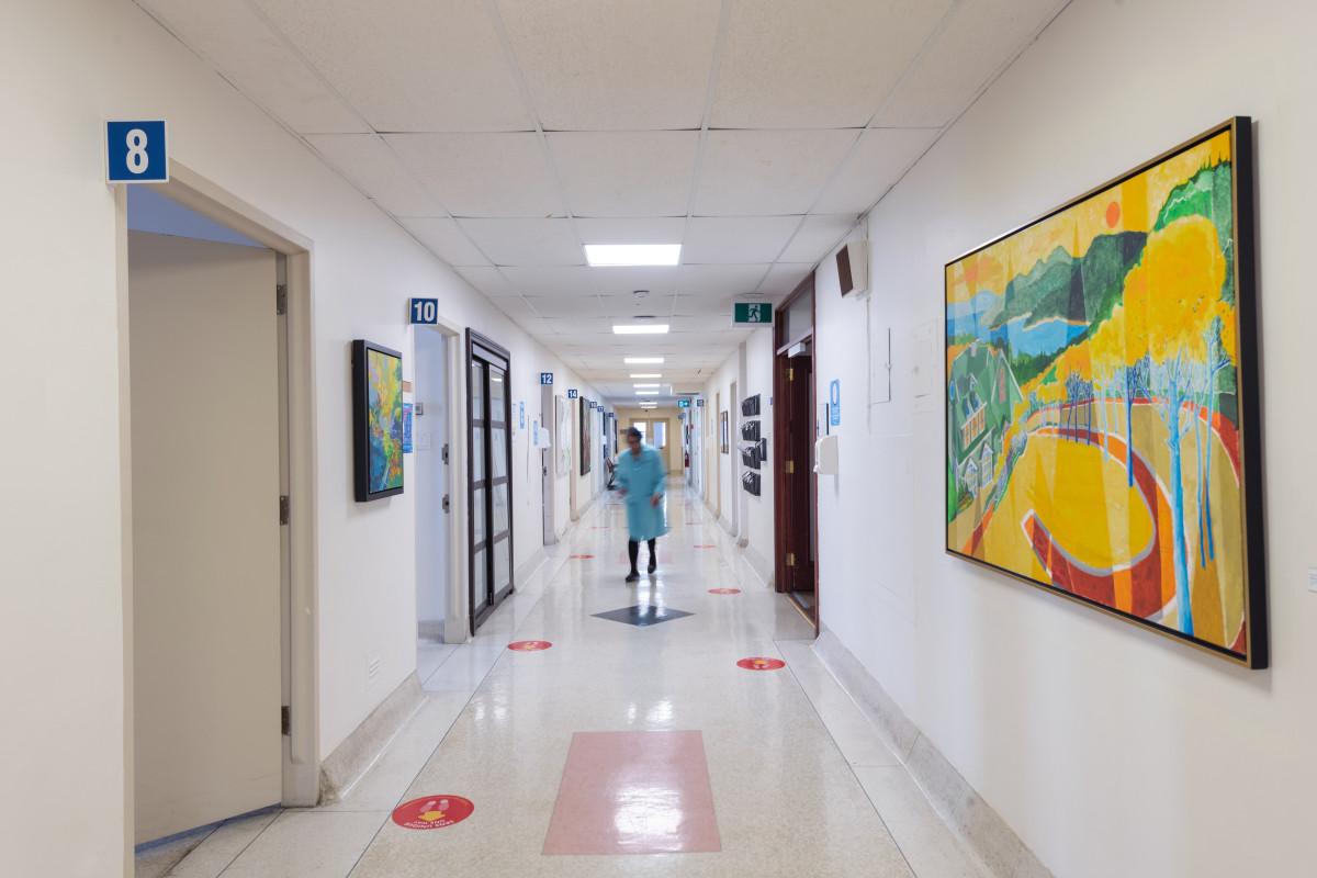 Queen Elizabeth Health Complex - The Art for healing foundation