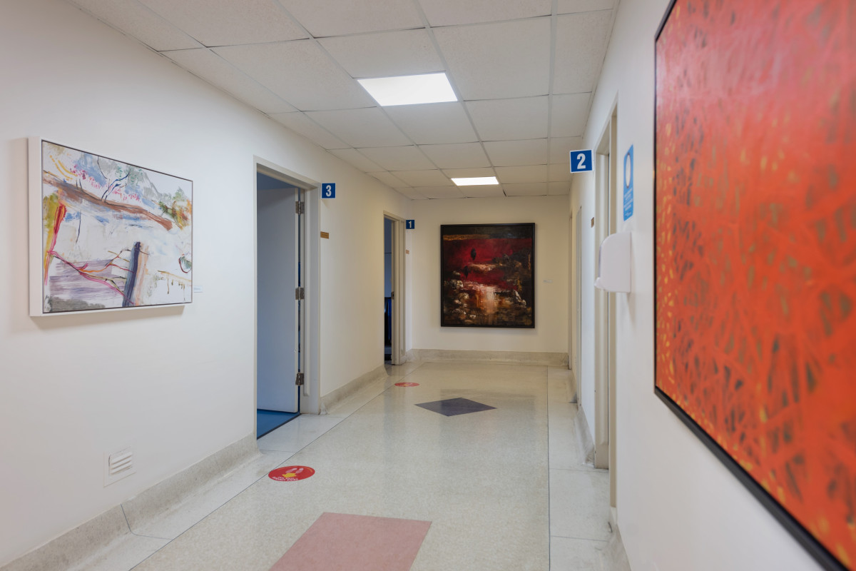 Queen Elizabeth Health Complex - The Art for healing foundation